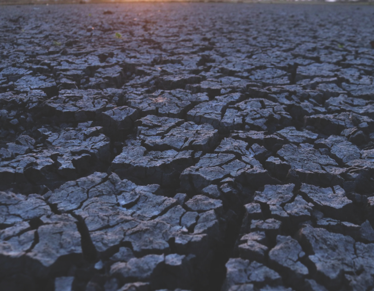 Frío y sequía provocan nueva crisis en el campo de Morelos - LA JORNADA ... Frío y sequía provocan nueva crisis en el campo de Morelos - LA JORNADA ...